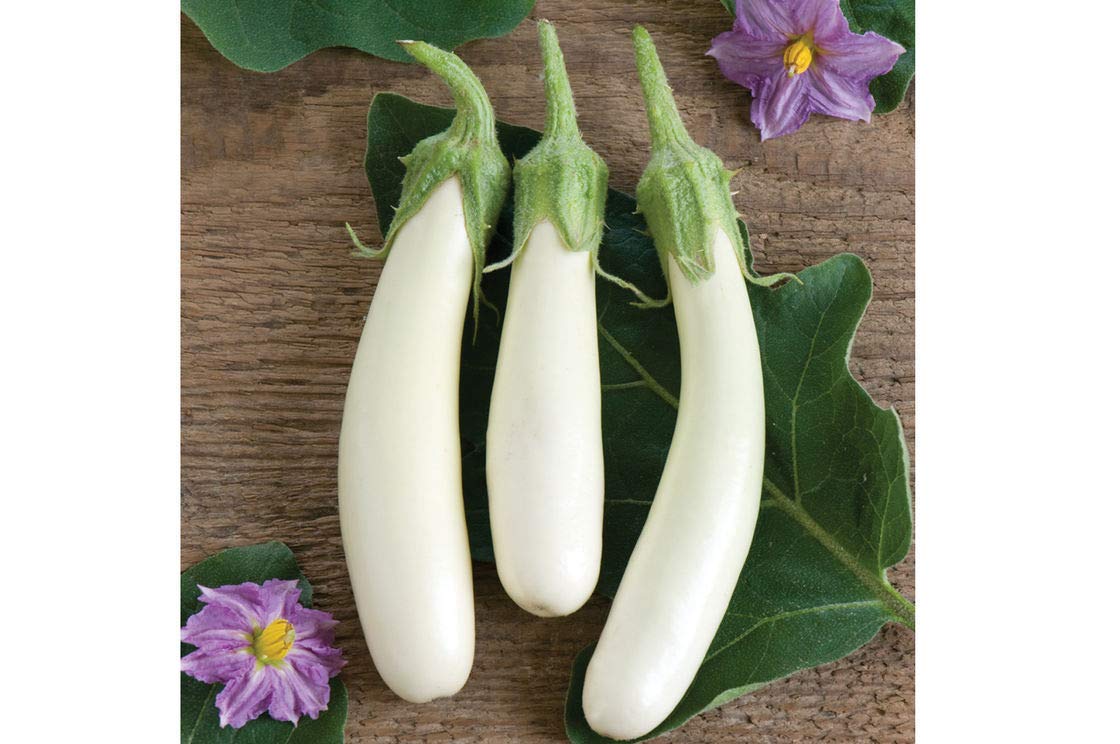 Golden Hills Farm WHITE LONG BRINJAL SEEDS 500 seeds – resetagri