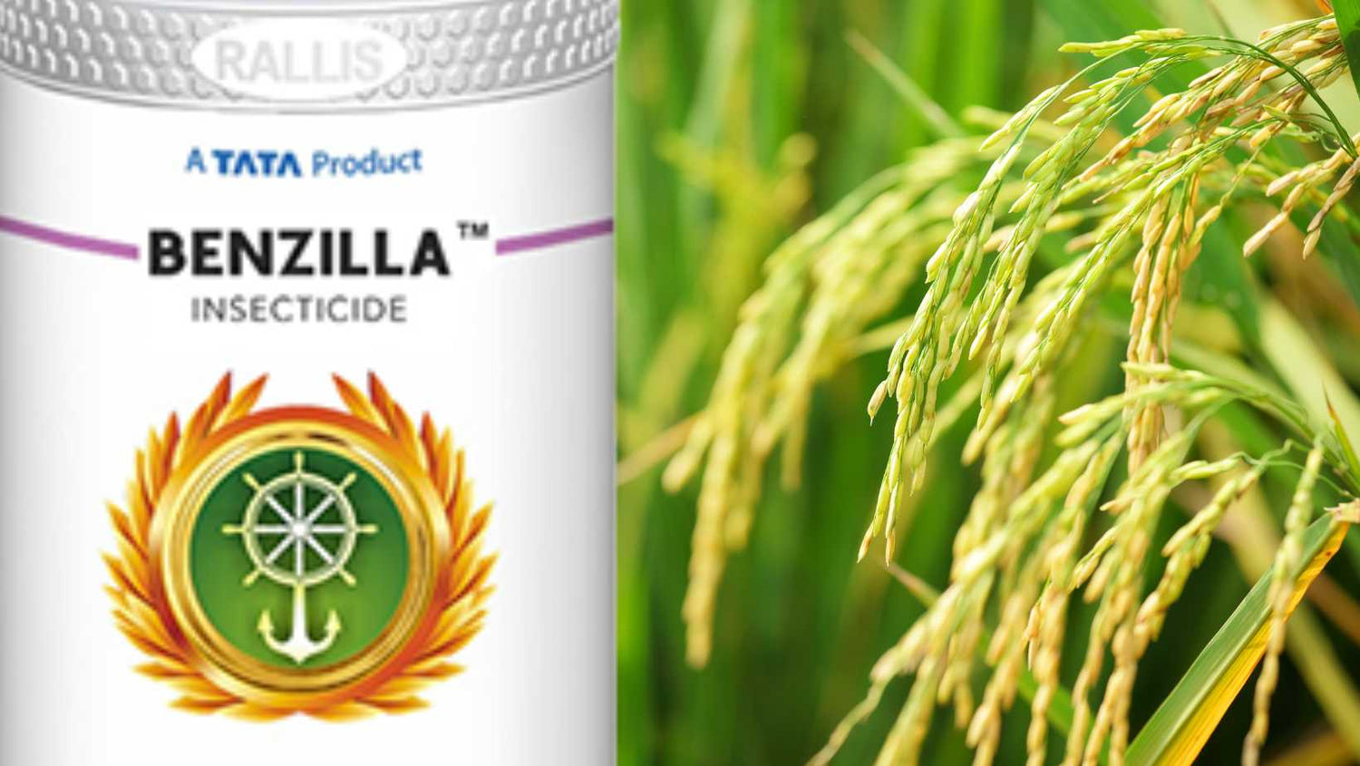 Introducing Benzilla: The Revolutionary Solution for Brown Plant Hoppe ...