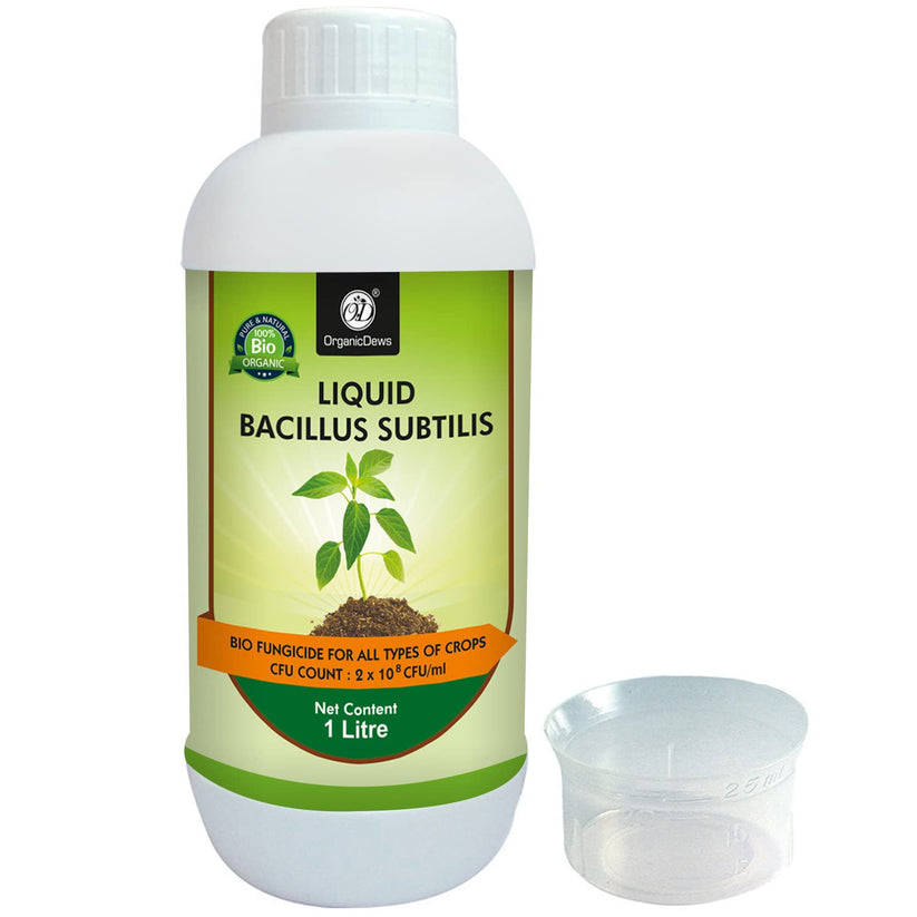 ऑर्गेनिकड्यूज़ लिक्विड बैसिलस सबटिलिस (2x10^8 CFU/ML) बायो फंगसाइड (1 – resetagri