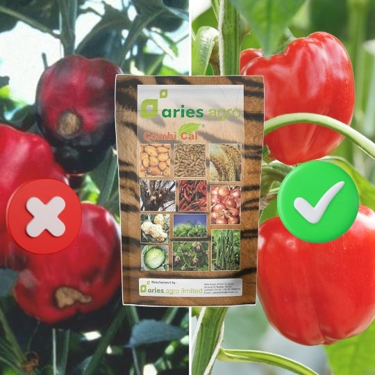 Aries CombiCal: Nourish Your Crops, Harvest Your Dreams. – resetagri