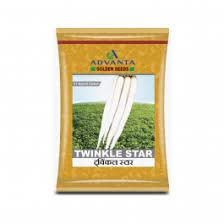 advanta upl hybrid golden seeds TWINKLE STAR RADISH 50 pcs – resetagri