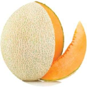 Creative Farmer Vegetable Seeds Yellow Shamam Seeds - Musk Melon Golde ...