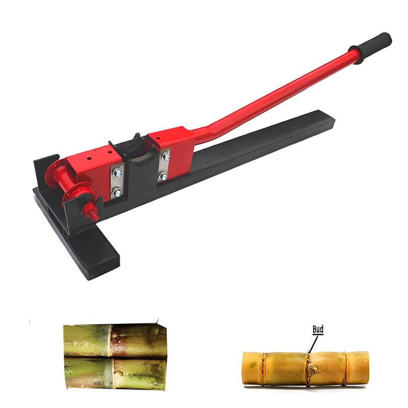 PROROCK Heavy Duty Manual Sugarcane Bud Cutter | Dual Blades | Farmer ...