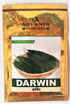 advanta upl hybrid golden DARWIN BITTERGURD seeds 1000 pcs – resetagri