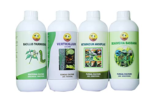 BACILLUS SUBTILIS ORGANIC FUNGICIDE 1L – resetagri