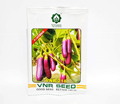 VNR SEEDS Hybrid Brinjal VNR-218 Vegetable Seeds (10gm) – resetagri