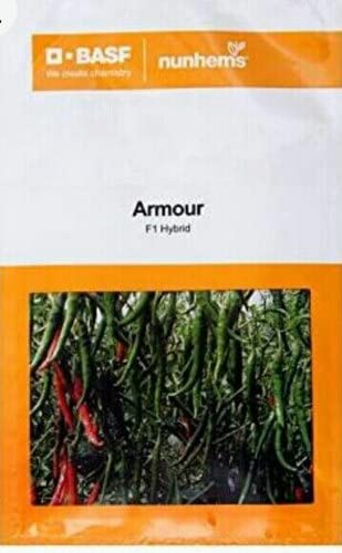 Nunhems Organic F1 Hybrid Hot Pepper Armour High yielding Vegetable se ...