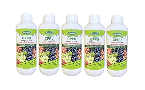 Katyayani CPPU Forchlorfenuron 0.1% L SL Plant Growth Regulator for In ...