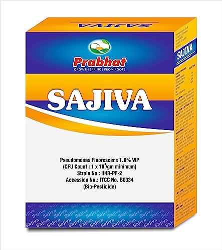 Rabi Season Crops for Maharashtra Farmers – resetagri