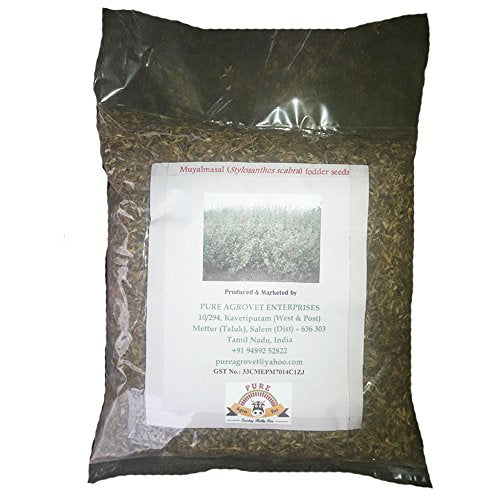 Stylo Seeds: Nurture Your Farm, Even in Drought – resetagri