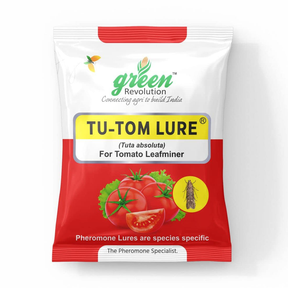 Pheromone Lure for Tomato Leaf Miner (Tuta absoluta Pheromone Lure) (2 ...