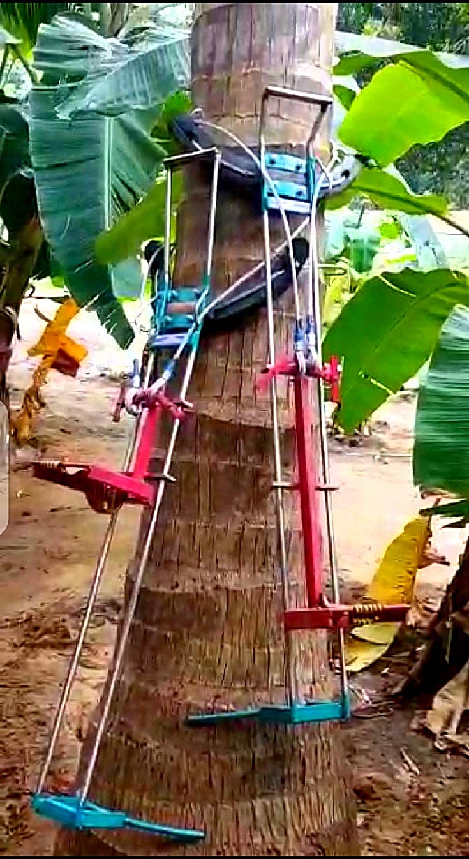 SBI Coconut Tree Climber Machine with Full Body Safety Harness - Safe ...