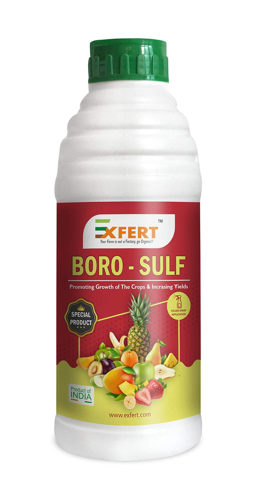 Exfert Boro Sulf (Organic Plant Growth Promoter with Boron Sulphur Ami ...